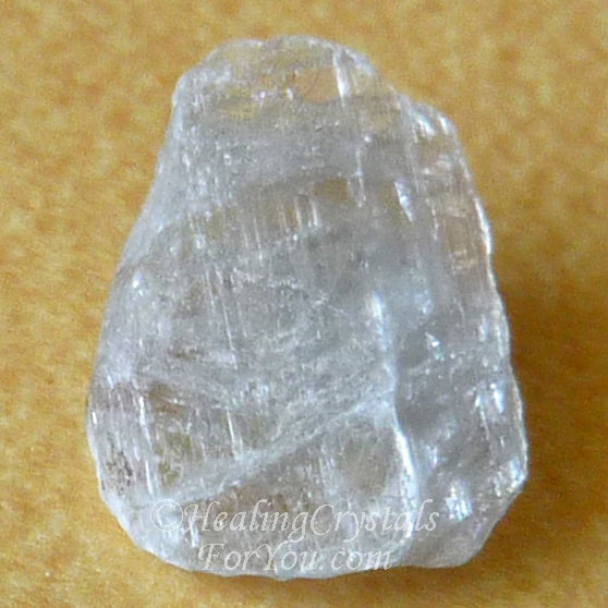 Diaspore Stimulates The Mind, Helps Memory & Adaption To Change