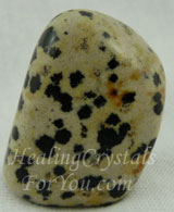 Dalmatian Jasper Helps You To Discover Your True Purpose